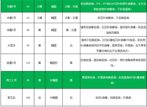 马铃薯主栽品种介绍东农303早大白费乌瑞它
