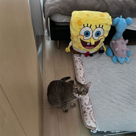 体調不良〜 Lilly Mmのブログ