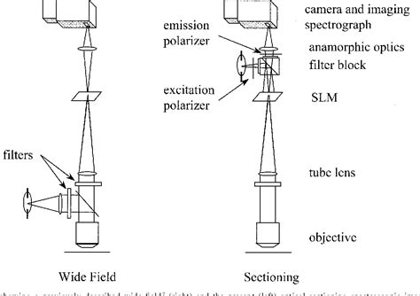 Figure 1 From Highly Multiplexed Optically Sectioned Spectroscopic Imaging In A Programmable