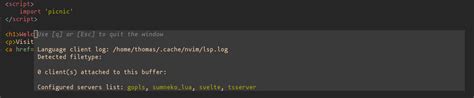 Setting Html Syntax Highlight Prevent The Svelte Lsp From Starting Rneovim