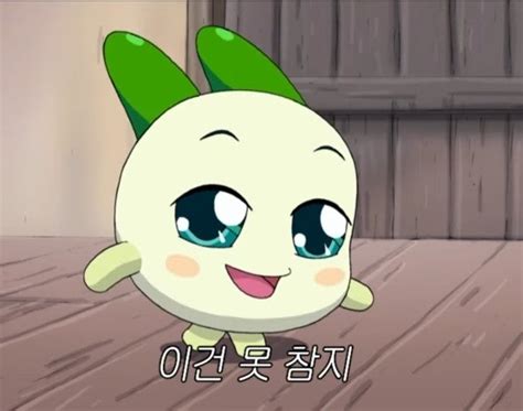 [양파쿵야] 내가 쓰려고 모아온 양파쿵야 주먹밥쿵야 인스타그램 짤 프사 모음 네이버 블로그