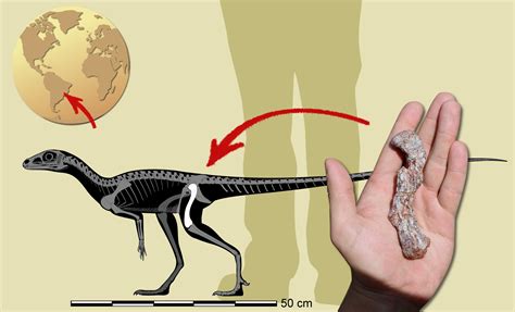 Oldest Known Dinosaur