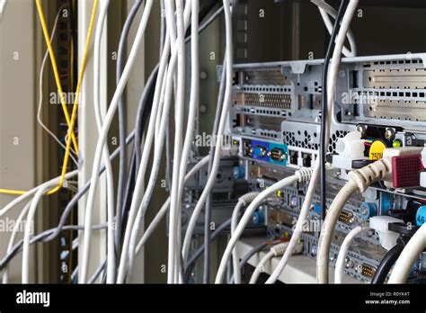 Ethernet Cables Connected To Switch Stock Photo Alamy