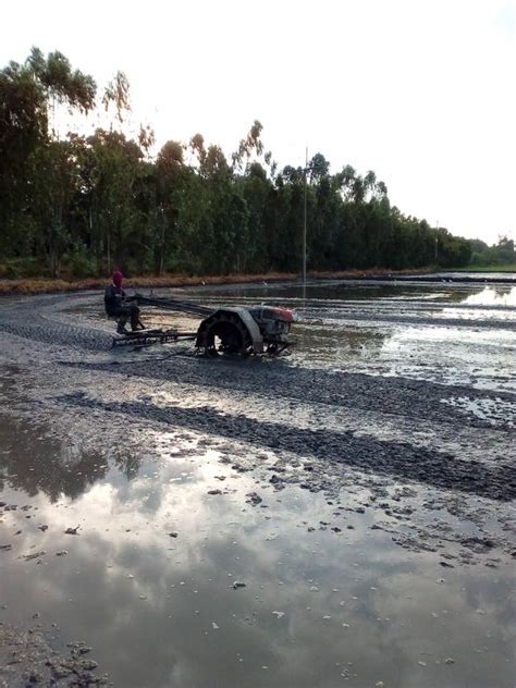 กิจก งานประชาสัมพันธ์ มหาวิทยาลัยราชภัฏเทพสตรี อ บางระจัน