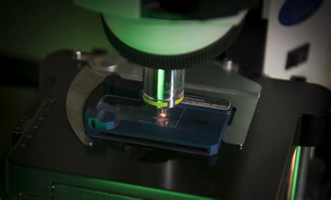 Cinder Lakes Ranch Reproductive Services