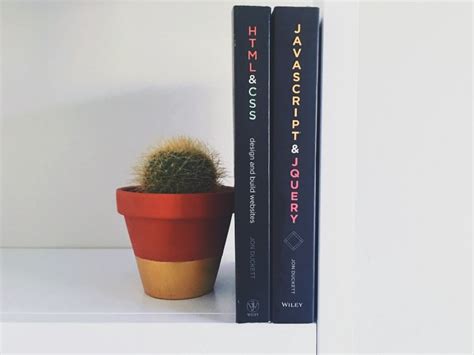 should data scientists learn javascript