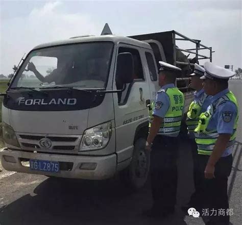 感謝錦旗背後的為民故事商都大隊城鎮中隊巡邏民警找回丟失的牛 每日頭條