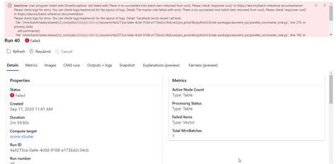 Batch Scoring Fails With Driverexception Job Failed With There Is No