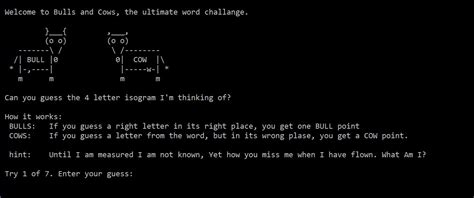 Game BULLS COWS Trausti Design