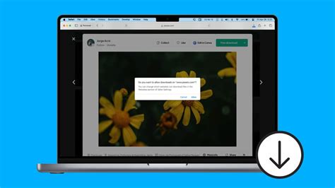 How To Always Allow Downloads In Safari On Mac
