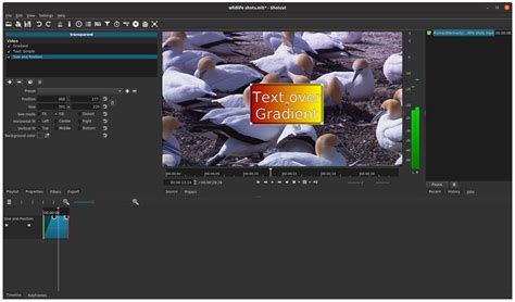 How To Add Text Background Gradient Color Help How To Shotcut Forum