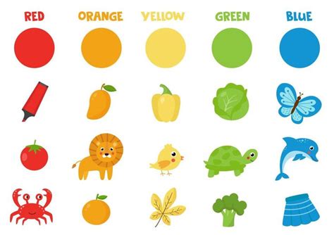 Set Of Colorful Objects Learning Basic Colors For Preschoolers