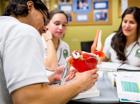 Massage School Programs Massage Therapy School Curriculum Massage