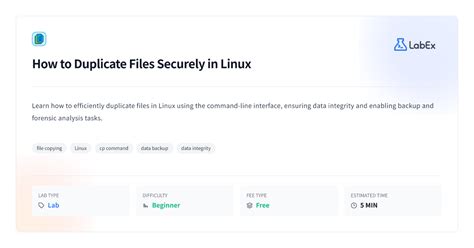 How To Duplicate Files Securely In Linux Labex