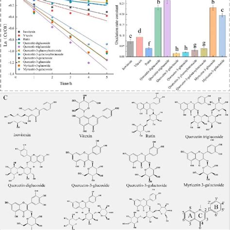 Effect Of Oxygen Concentration On The Oxidation Kinetics Of Different Download Scientific