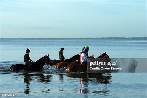 Bbay Photos And Premium High Res Pictures Getty Images