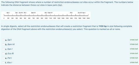 Solved The Following DNA Fragment Shows Where A Number Of Chegg