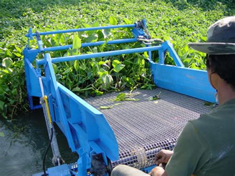 Garbage Collecting Boat