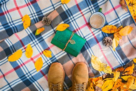 가 배경입니다 단풍 책과 커피의 낯 짝 숲에 격자 무늬에 부츠 10월에 대한 스톡 사진 및 기타 이미지 10월 11월 가을 Istock