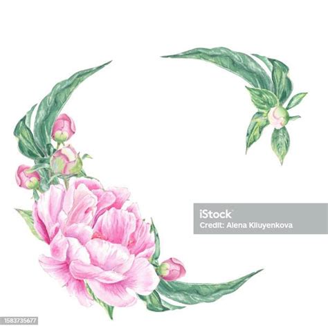 프리젠테이션 결혼식 휴일 및 자연 디자인 초대장에 사용하기 위해 식물 스타일로 손으로 그린 분홍색 모란이 있는 수채화 엽서 데이지 꽃 장식용 프레임 선물 포장 포스터