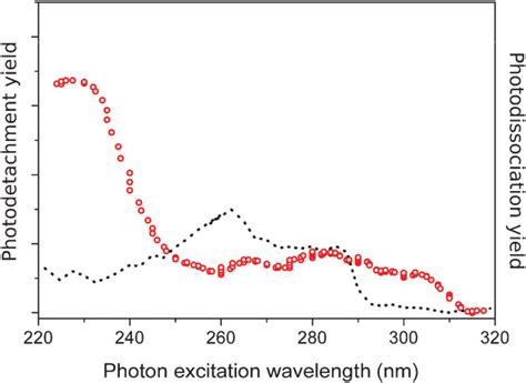 Comparison Of The Photodetachment Spectrum Of Deprotonated Tryptophan Download Scientific