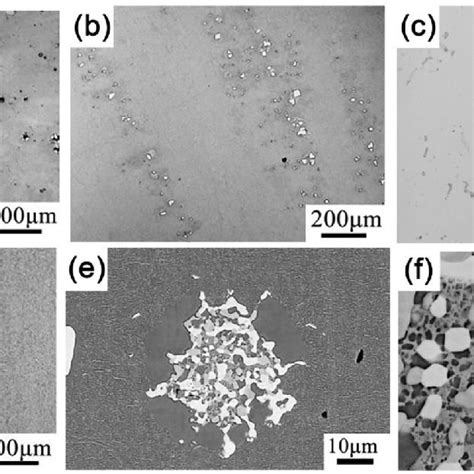 Sem Images Showing The Microstructure Of Single Crystal Alloy After Download Scientific Diagram