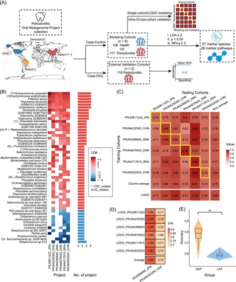 Identification Of Cross‐cohort Biomarkers And Performance Of Oral Download Scientific Diagram