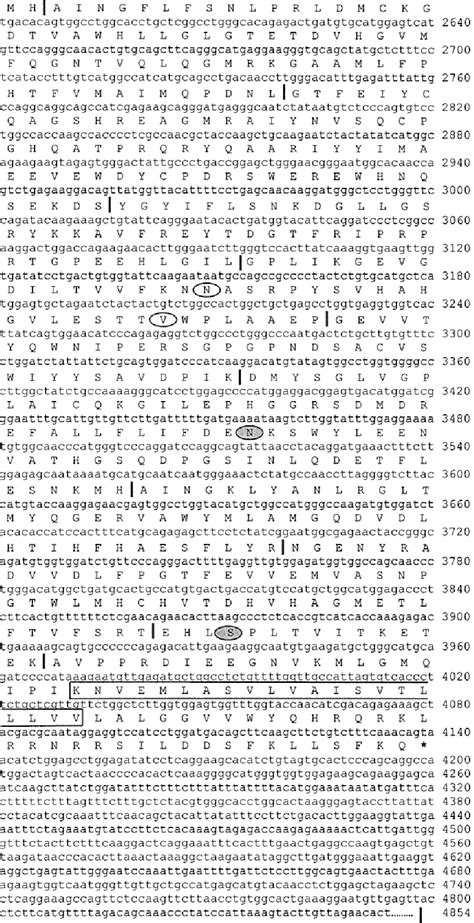 Figure 1 From Analysis Of The Human Hephaestin Gene And Protein Comparative Modelling Of The N