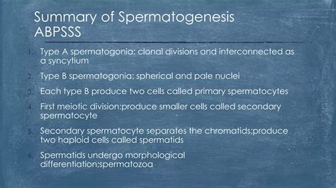 Spermatogenesis And Spermiogenesis Pptx