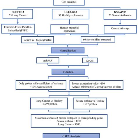 Flowchart Outlining The Steps Of The Bioinformatics Approach Used To