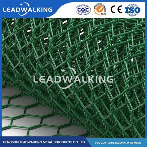 Leadwalking Pvc Wire Material Pvc Coated Copper Chicken Wire Mesh Manufacturing China 4 Inch