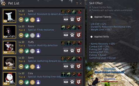 Bdo Leveling Guide Black Desert Fast Grinding By Mr Niceguy