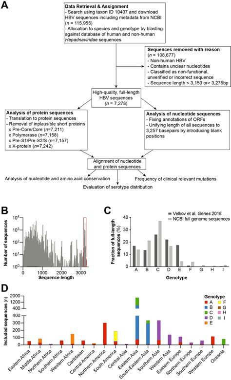 In Silico Analysis Of Publicly Available Full Length HBV Sequences A Download Scientific