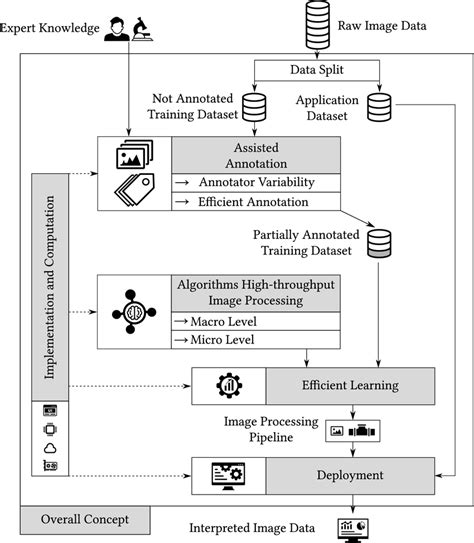 Overall Concept For Information And Data Processing Raw Image Data Is