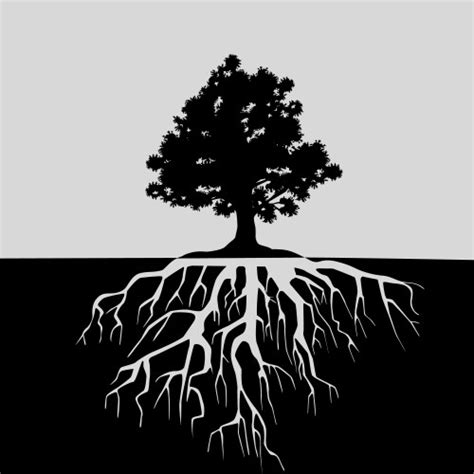 Oak Tree Vector Images Over 59000 Oak Tree Vector Images Over 59000