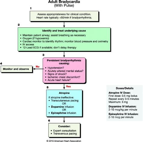 Pin On Nursing Meds