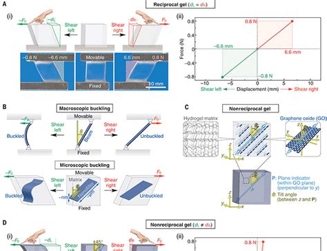 Mechanical Nonreciprocity In A Uniform Composite Material Science