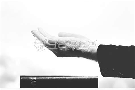 성경책 기도 예배 크리스천 노인 사진 이미지 일러스트 캘리그라피 Artin작가