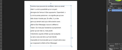 Paste Problem V1 Bugs Found On Windows Affinity Forum