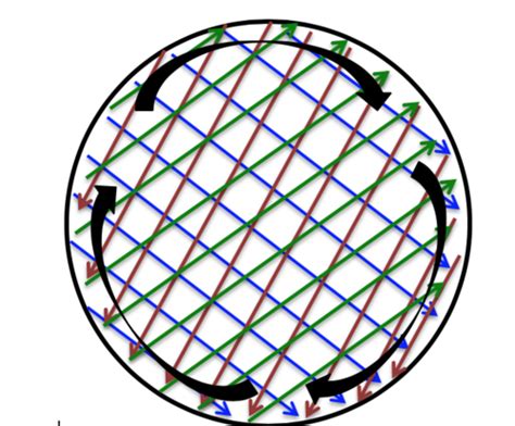 Experiment 28 Antimicrobial Susceptibility Testing Flashcards Quizlet