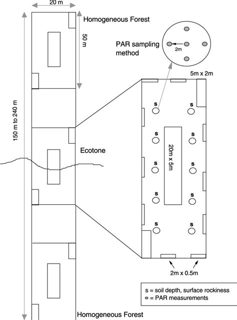 Diagram Of Transect Plot Layout And Methods Download Scientific