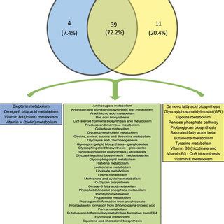 Overlap Between Pathways Enriched During Ovarian Development Stages Iii Download Scientific