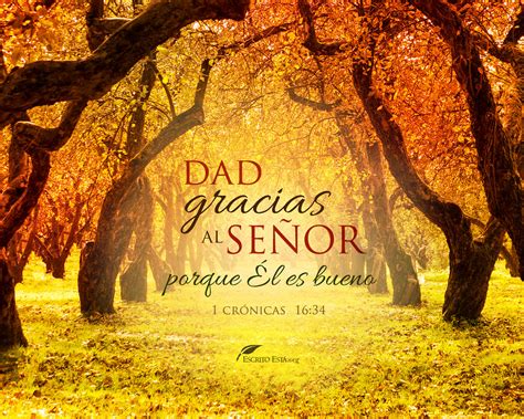 Gracias Dad Printables