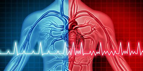 What Heart Rhythm Experts Want You To Know About Afib Penn Medicine Doylestown Health