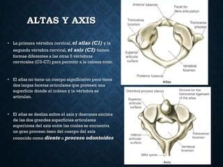 Ppt Imagenologia Convencional De Columna Vertebral Pdf