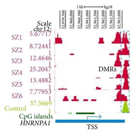 Dna Methylation Code And Gene Expression A The Global View Of Dna Download Scientific