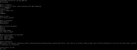 Bashblazechallenge Devops Trainwithshubham Akhil Anto Tharayil