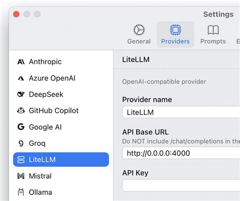 Litellm Chatwise Docs