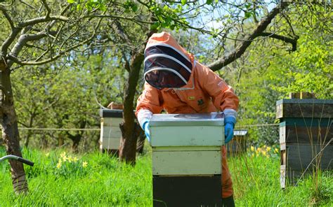 October 16 2018 World Bee Project