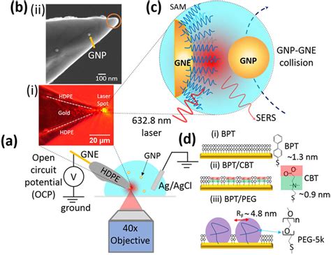 A The Scheme Of The Experimental Setup For The Simultaneous Ocp And Download Scientific